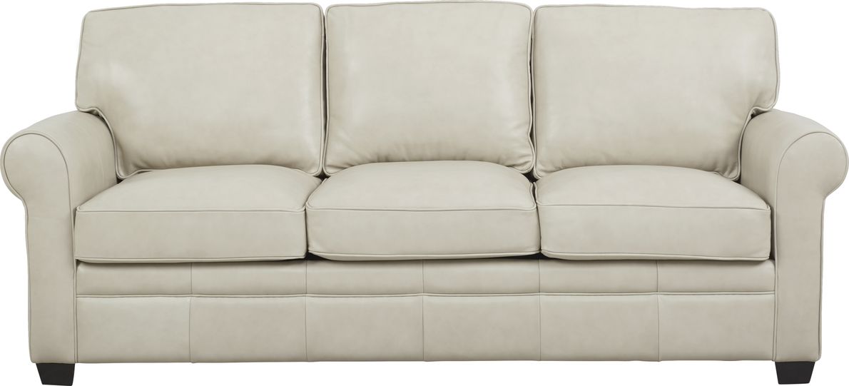 Dreamliner Top Grain Leather Queen Sleeper Sofa | Baci Living Room